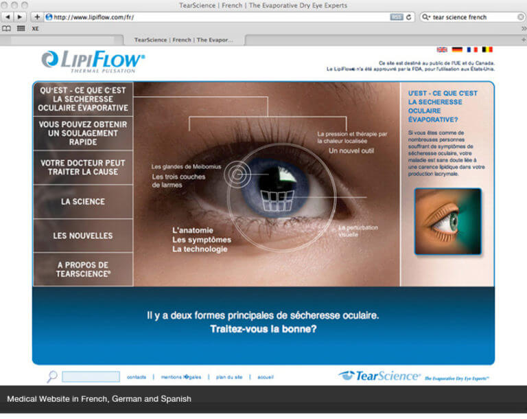 English to French website translation and localization